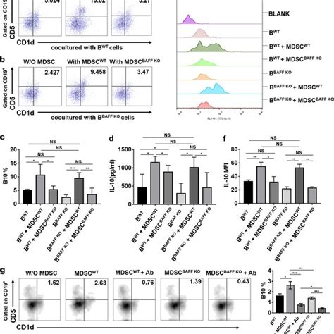 Mdscs Induce B10 Cell Differentiation Through Baff Baff R Pathway A B Download Scientific