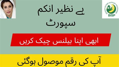 Bisp Check Balance Online By Cnic 2023 New Update