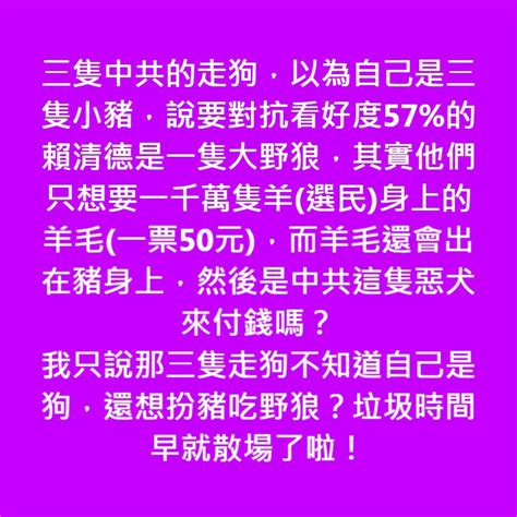 三隻中共的走狗，以為自己是三隻小豬，說要對抗看好度57的賴清德是一隻大野狼，其實他們只想要一千萬隻羊選民身上的羊毛一票50元，而羊毛還會出在豬身上，然後是中共這隻惡犬來付錢嗎