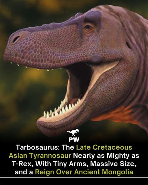 The Prehistoric Tarbosaurus Asias Apex Predator Of The Late