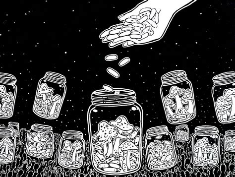 What Is The Stamets Stack And Does It Work