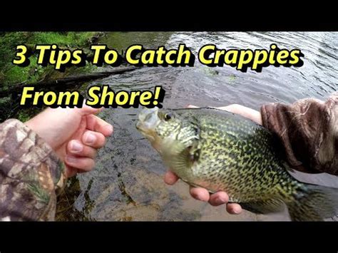 Crappie Fishing Tips How To Catch Clean And Cook Crappie