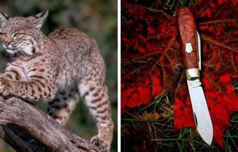 Интересные факты самое невероятное и любопытное в мире