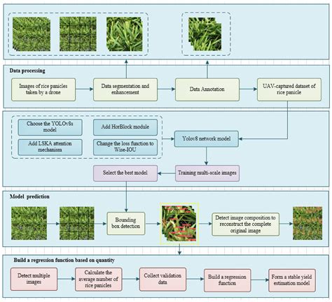 Agronomy Free Full Text A Precise Plot Level Rice Yield Prediction Method Based On Panicle