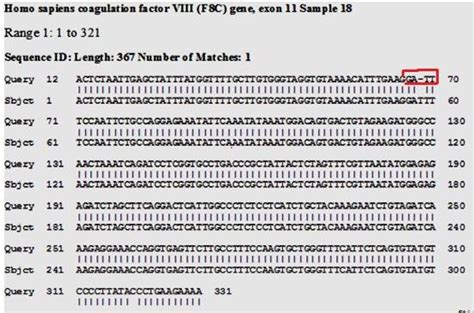 subject query alignment blast ncbi website forward primer exon 11 shows