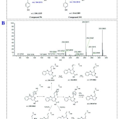 The Fragmentation Patterns Of Compounds 96 101 A And 106 B 217