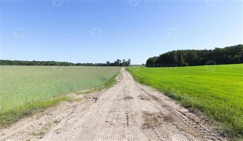 Sandy Road Field Stock Photo At Vecteezy