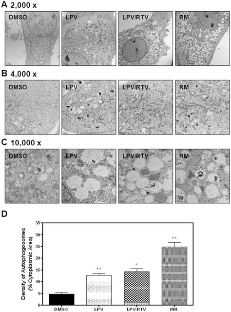 Non Differentiated 3t3 L1s Were Treated With Individual Hiv Pis 125