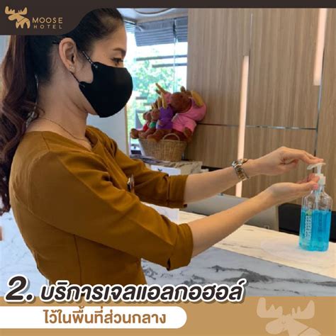 Moose Hotel Chiangmai Moose Hotel Chiangmai โรงแรมใหม่ ห้องพักใหญ่