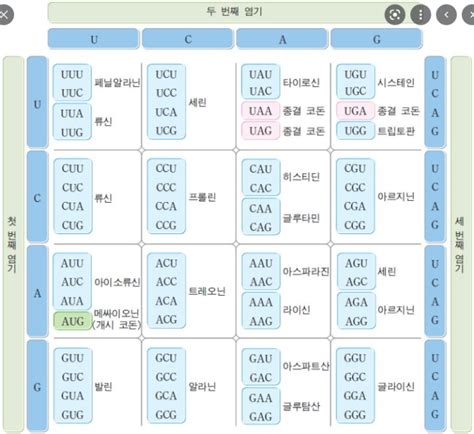 4진법 Agct 코돈표 돌연변이들을 차단하다 네이버 블로그