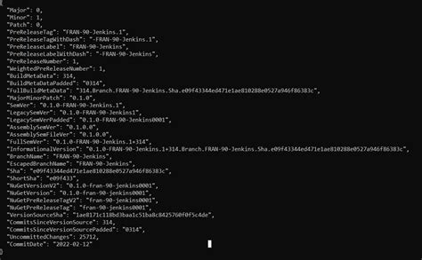 Bug Output File Outputfile Gitversionjson Exited With Code 1 · Issue 2993 · Gittools