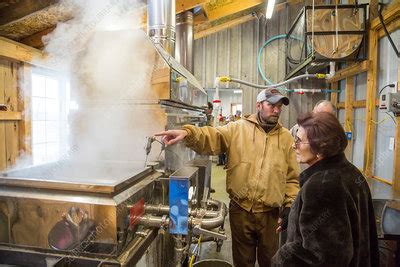 Maple Syrup Production Stock Image C Science Photo Library