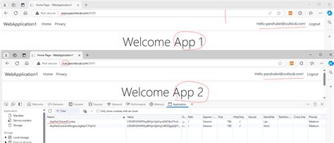 Core Mvc Signoutasync Wont Delete Application Cookie When Custom Domain Is