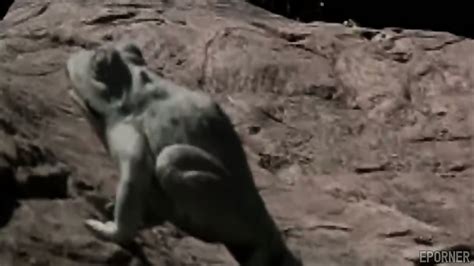 Busty Lesbians On Beach