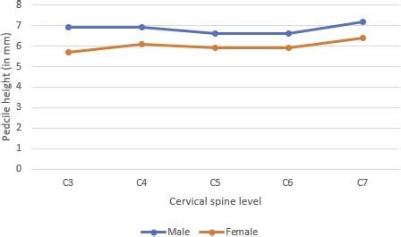 Pedicle Height Measurement By Sex P For All Measurements Download Scientific Diagram