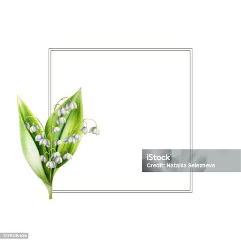 계곡 꽃의 꽃다발이 있는 수채화 프레임은 흰색 배경에 분리되어 있다 봄 손으로 그린 그림입니다 디자이너 결혼식 장식 엽서 포장지