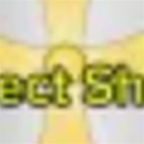 Project Shield Shapes Inc Project Shield Shapes Inc