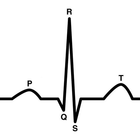 Ecg Based Biometric System Download Scientific Diagram
