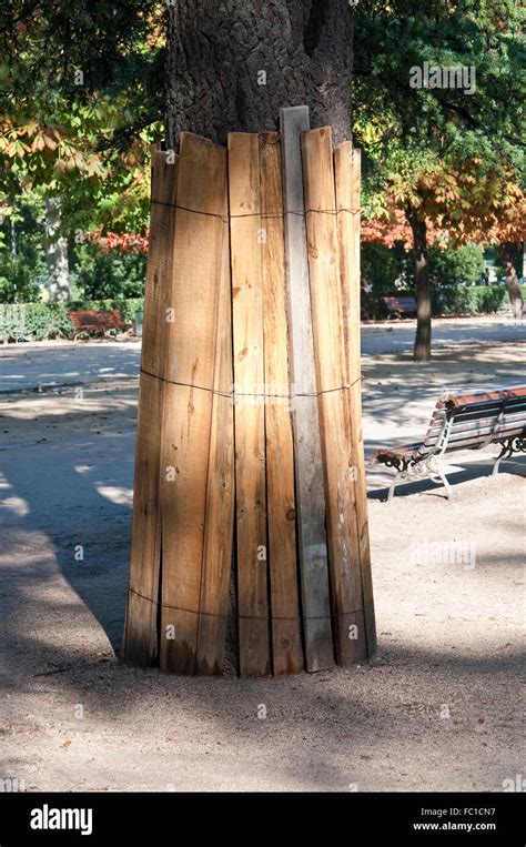 Tree Trunk Protection Near A Works Area Stock Photo Alamy