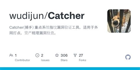 Github Wudijuncatcher Catcher捕手 重点系统指纹漏洞验证工具，适用于外网打点，资产梳理漏洞检查。