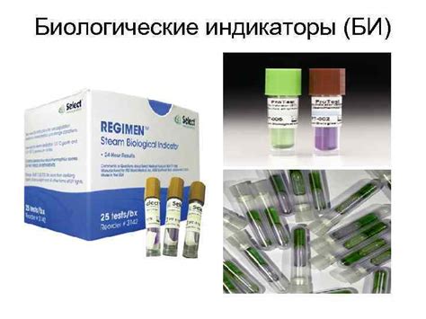 Метод биологических индикаторов