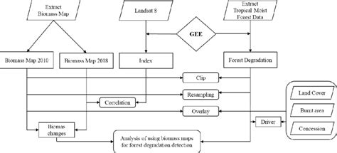 Data Analysis Steps Used In The Study Download Scientific Diagram