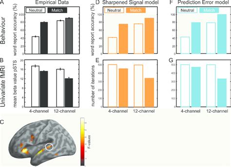 Comparison Of Behavioural And Univariate Fmri Results With Model