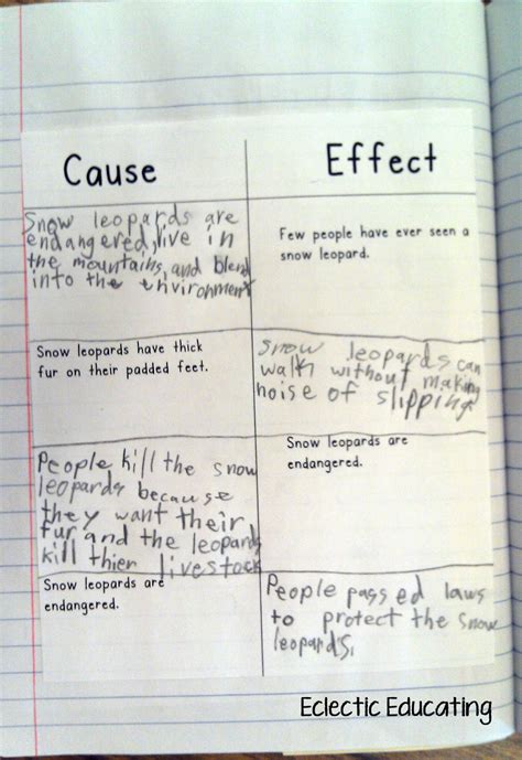 eclectic educating cause and effect