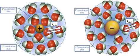 Schematic Drawing Of The Coordination Shells Of A Cation Left And An