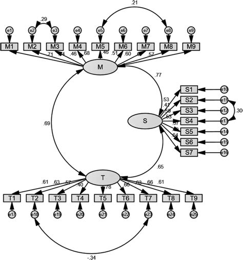 Confirmatory Factor Analysis Diagram Of The Scale Download Scientific