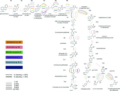 Metabolic Network Graph Of Enzyme Sequences Involved In Phn Degradation