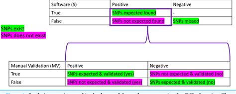 Figure 2 From Detection Of Single Nucleotide Polymorphisms In Virus Genomes Assembled From High