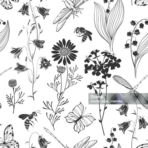 야생 꽃과 곤충 계곡의 백합 카모마일 꽃 블루 벨 나비 잠자리와 꿀벌 원활한 벡터 패턴입니다 흑인과 백인 자연 배경입니다 벌에