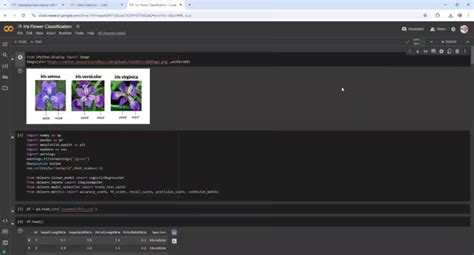 Sajiya Mulla On Linkedin Codealpha Datascience Intership
