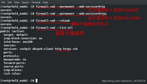 Linux下apache Web服务器的安装与配置嵌入式linux Web服务器最新的是apache吧 Csdn博客