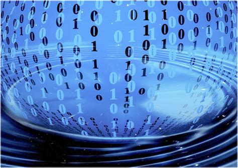 sql server career paths a developer might follow