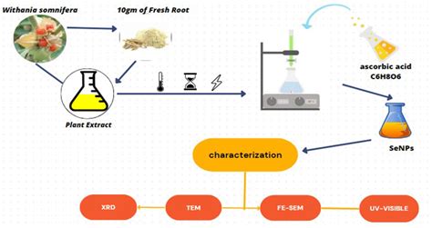Applied Sciences Free Full Text Evaluation Of Green Synthesis Withania Somnifera Of