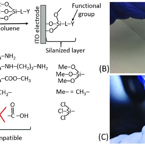 A Heterobifunctional Cross Linker Containing A Maleimide Function For
