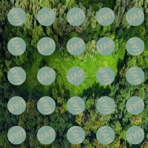 Uapuai Object Detection Dataset By Sedanur Kırcı