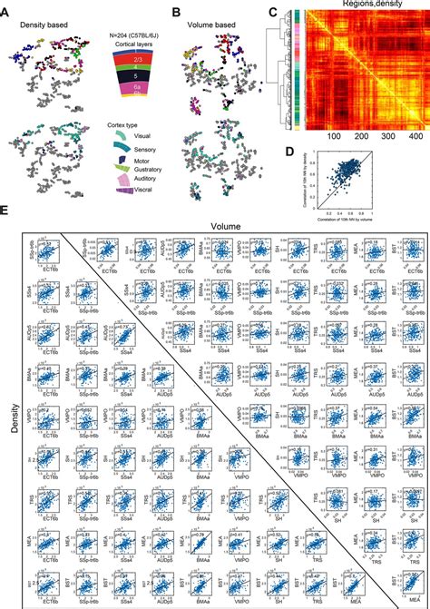 Figures And Data In Sex Strain And Lateral Differences In Brain Cytoarchitecture Across A