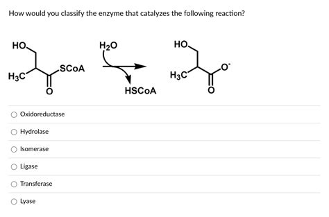 Solved How Would You Classify The Enzyme That Catalyzes The
