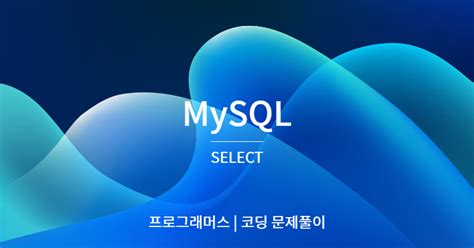 코딩 문제풀이 프로그래머스 Mysql Select”