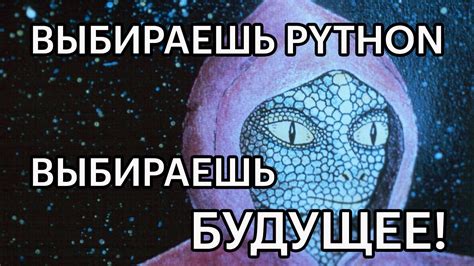 Обучение Python для начинающих с нуля и бесплатно изучаем язык