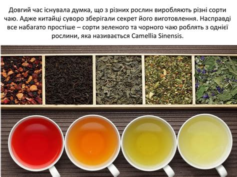 Презентація. Всесвітній день чаю. Цікаві факти про чай.