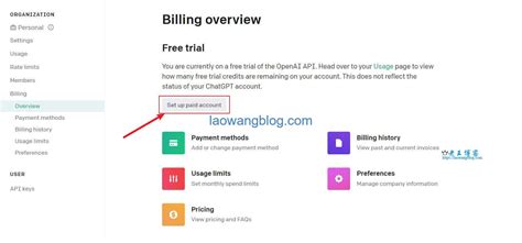 Chatgpt Openai Api Key 怎么获取？api Key 购买方式分享，无需国外信用卡 老王博客