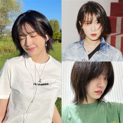 아이유 박규영 단발 헤어스타일 여자 단발레이어드컷 허쉬컷 연예인 네이버 블로그