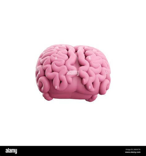 Brain Animation 3d