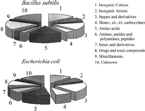 Relative Proportions Of Transporters And B Subtilis Top And E Coli
