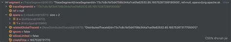 skywalking系列学习之agent收集trace数据 skywalking trace profile csdn博客