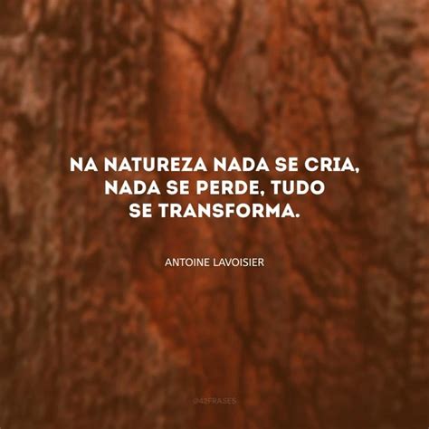 40 Frases De Cientistas Que Merecem O Nosso Reconhecimento